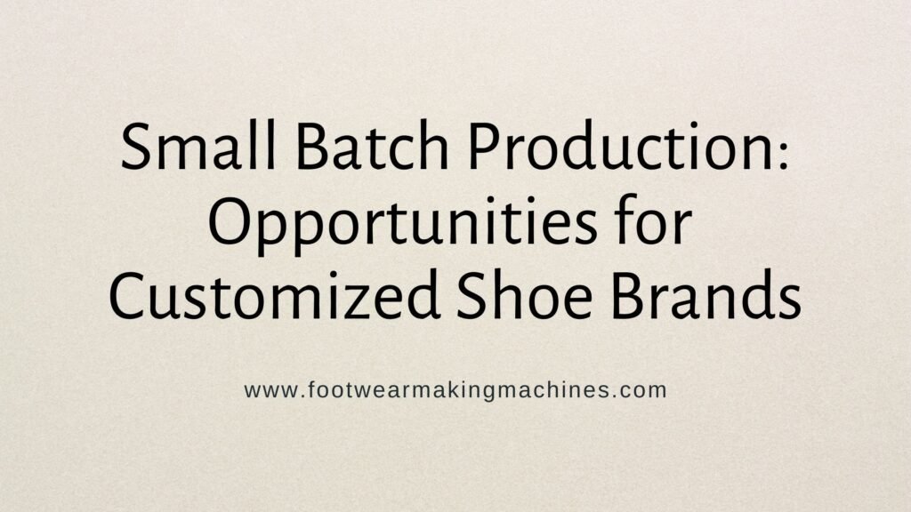 Small Batch Production: Opportunities for Customized Shoe Brands